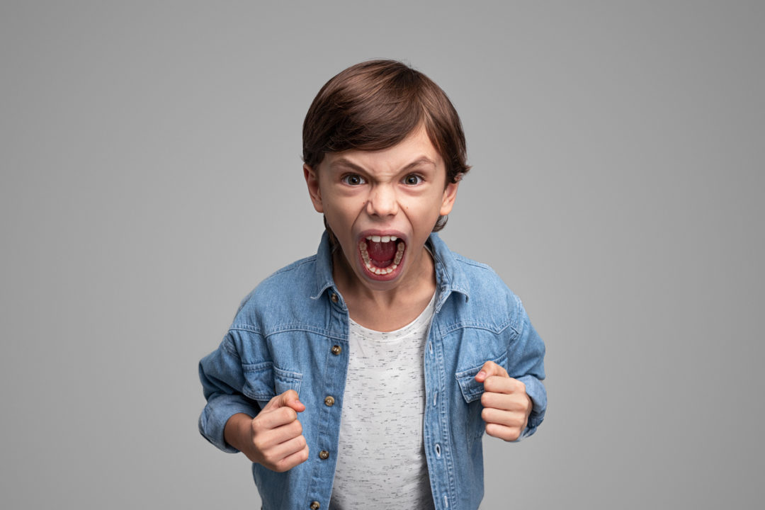 Aggression - Defiance - Hitting - Biting Archives | Alyson Schafer